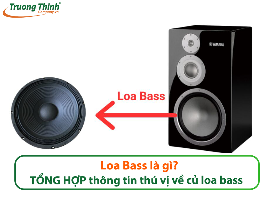 Loa Bass là gì? TỔNG HỢP thông tin thú vị về củ loa bass