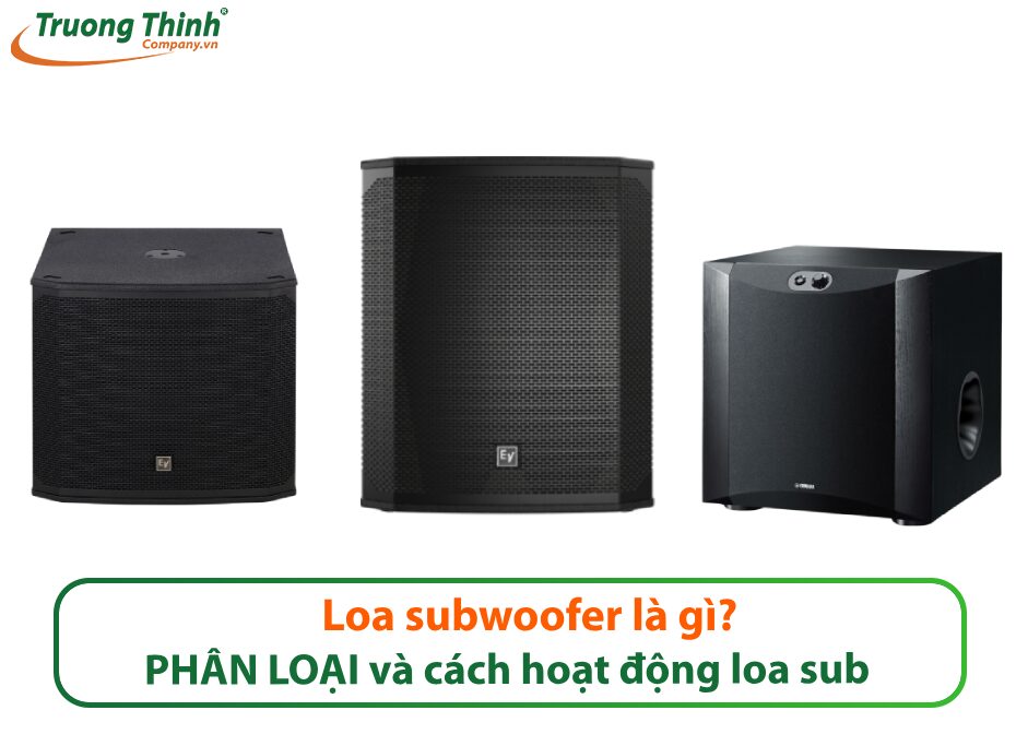 Loa subwoofer là gì? PHÂN LOẠI và cách hoạt động loa sub - Trường Thịnh ...